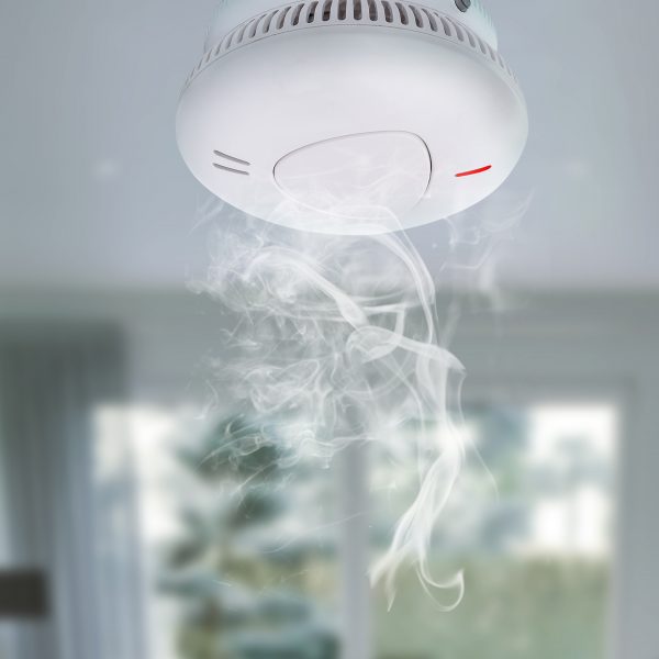 1 x Smoke Detector Wireless SMART (RF & WiFi) – 10 Year Battery CE ...